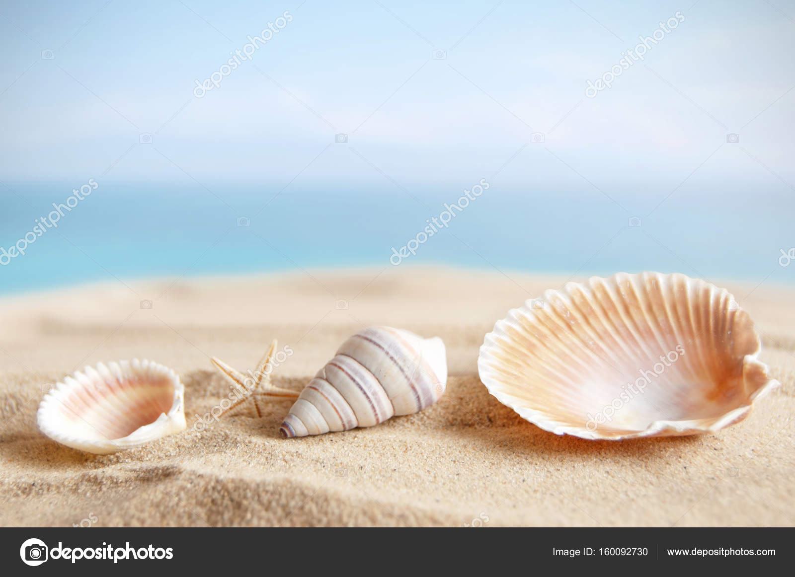 Sea shells on the beach — Stock Photo © nupix #160092730