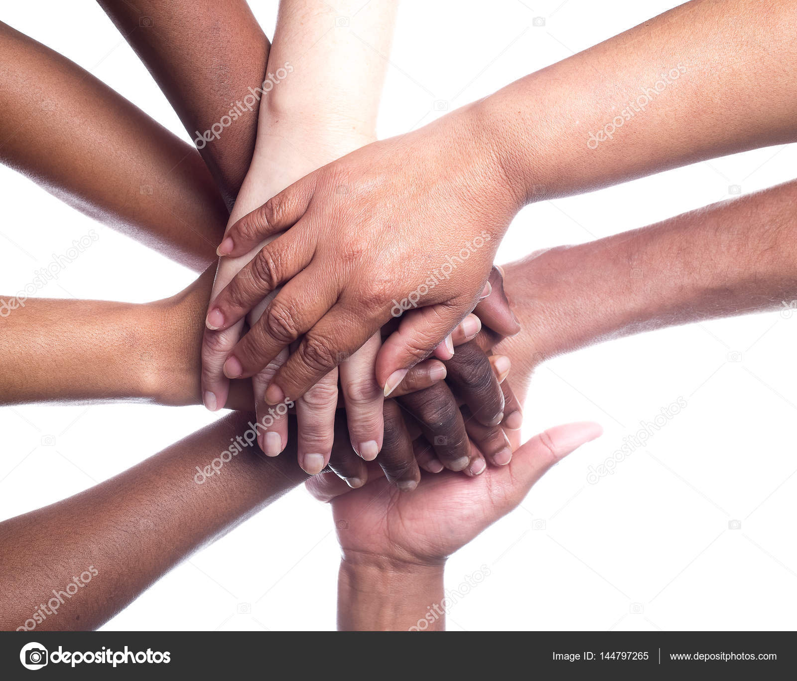 People Of Different Races Holding Hands