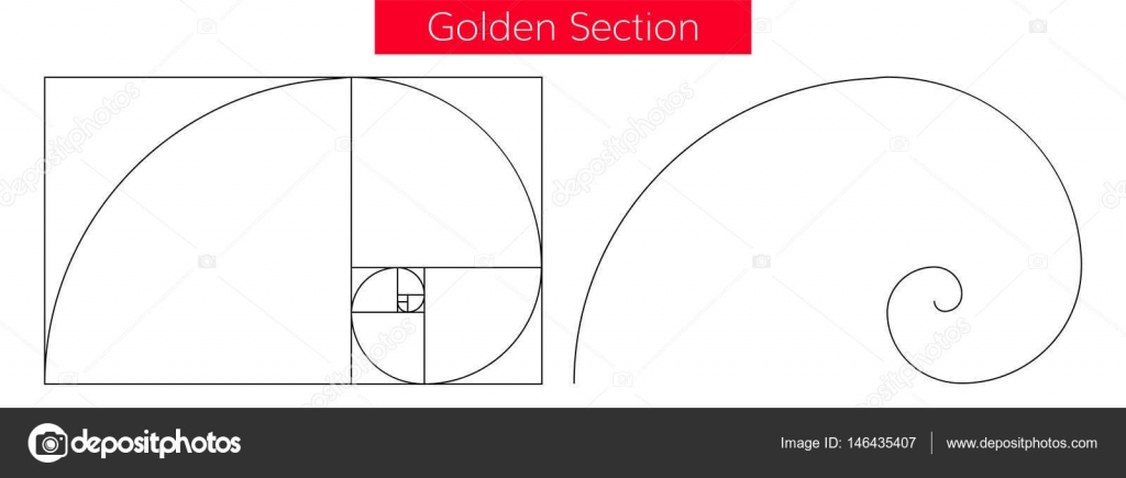 Golden section vector Stock Vector by ©DeziDezi #146435407