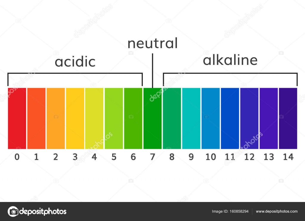Chart ph alkaline and acidic scale vector Stock Vector Image by ...