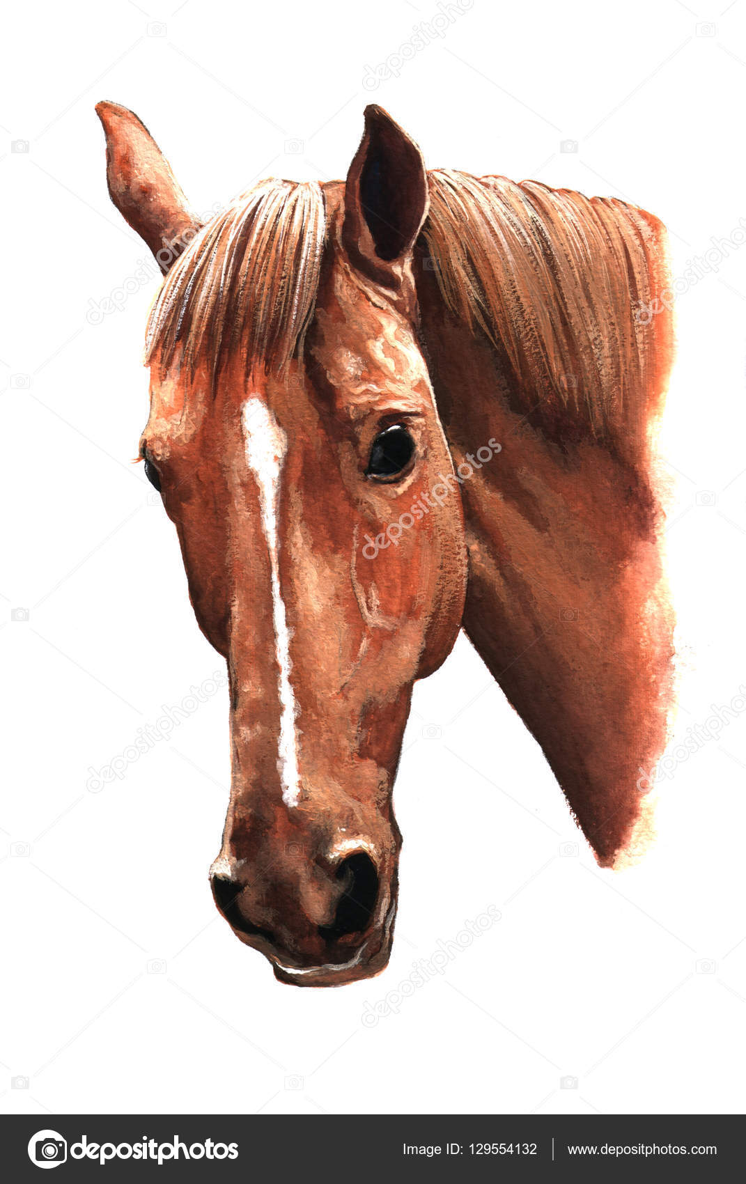 Beautiful Paintings Of Horses