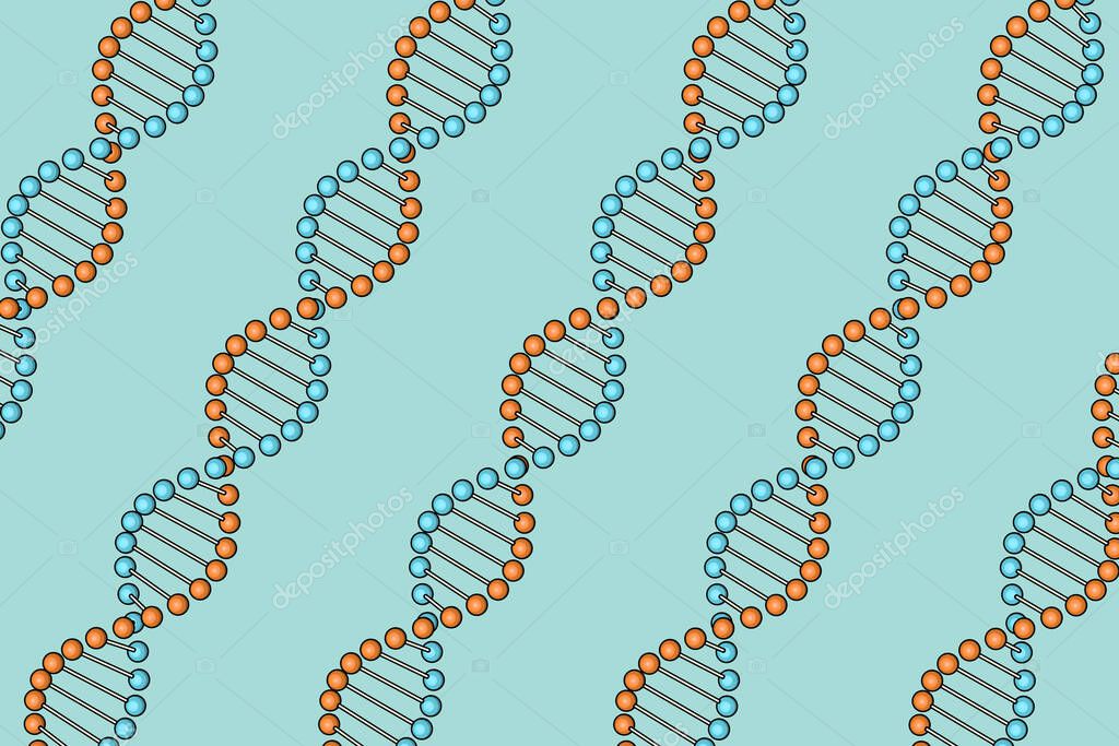 Diagrama De Dna Rotulado