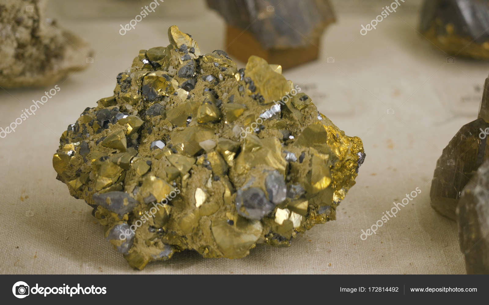 Samples of rock or mineral rocks, which are represented in the Museum ...