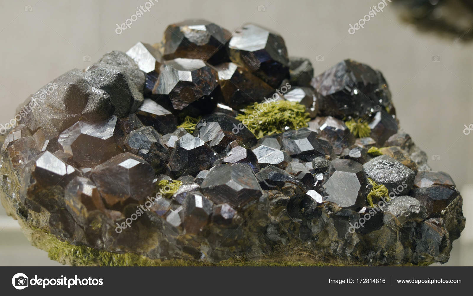 Samples of rock or mineral rocks, which are represented in the Museum ...
