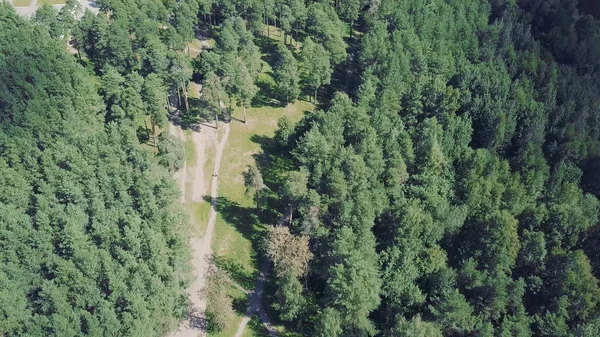 Top view of the path through the trees. Clip. Top view of the beautiful ...