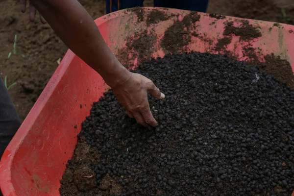 Humic soil Stock Photos, Royalty Free Humic soil Images | Depositphotos