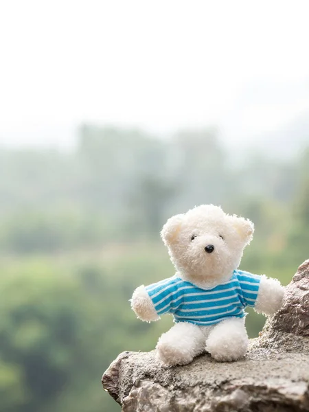 Funny Teddy Bear Forest — Stock Photo © max777 #301469816