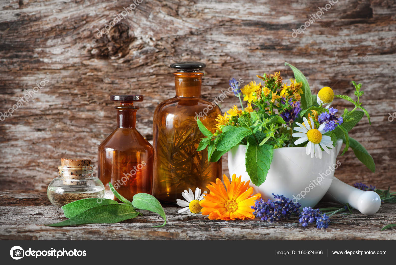 Herbal Medicinal Plants