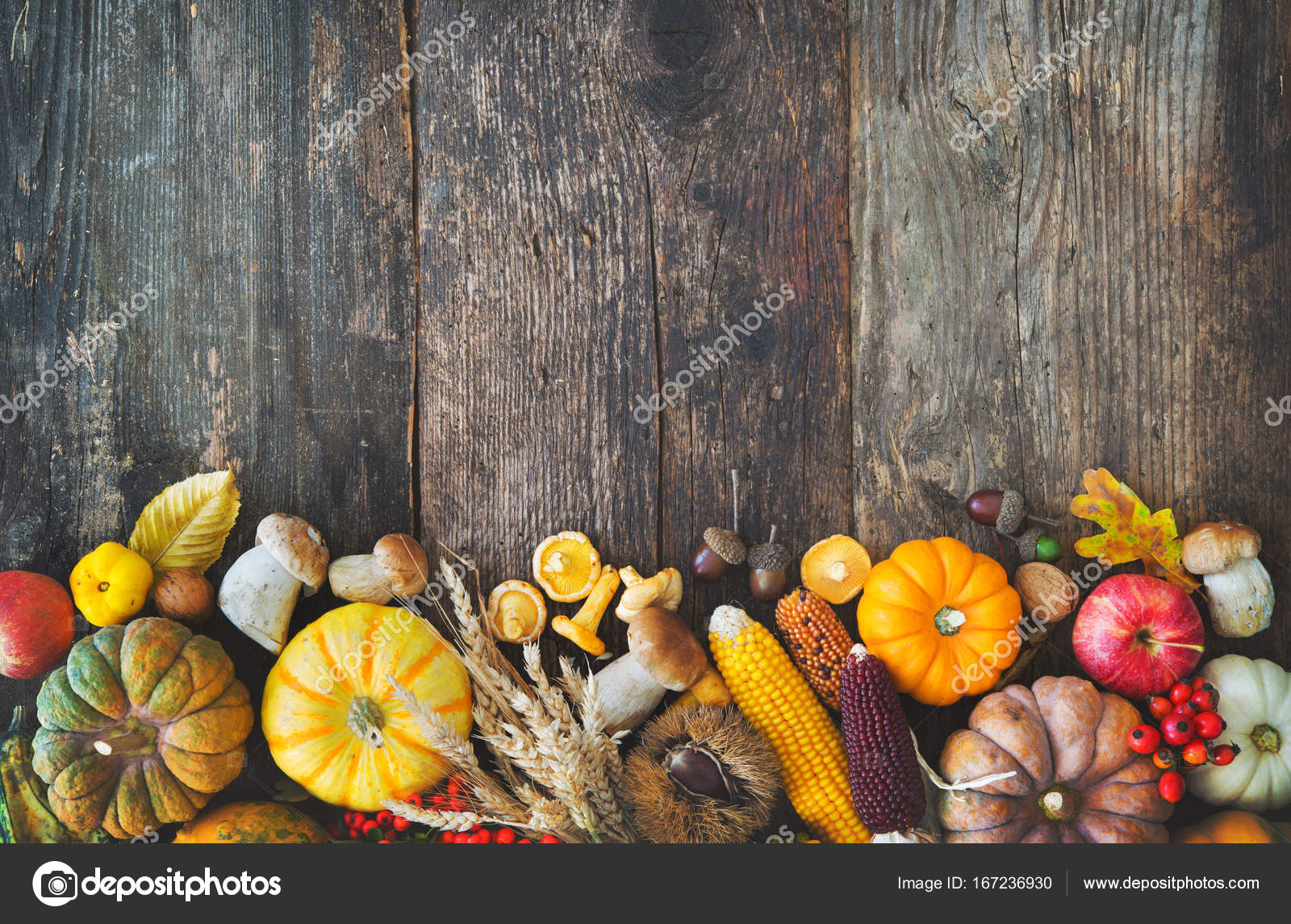 Harvest or Thanksgiving background Stock Photo by ©alexraths 167236930