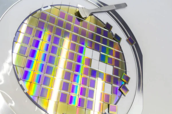 Silicon wafer Images - Search Images on Everypixel