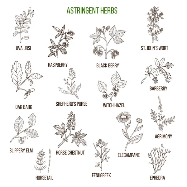 79 Astringent Vector Images | Depositphotos