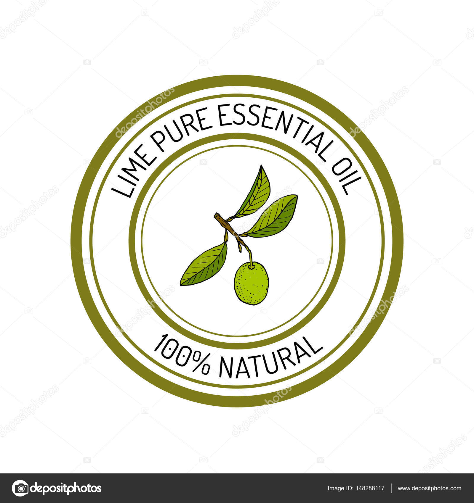Essential oil label, aromatic plant Stock Vector by ©Foxyliam 148288117