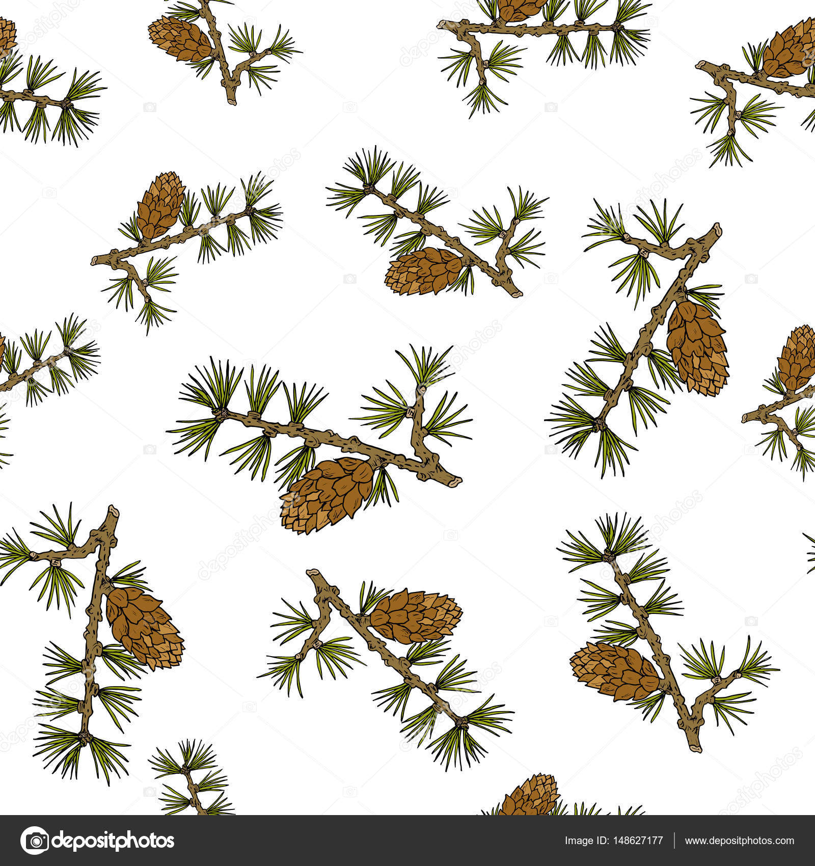 Larch cones and branches Stock Vector Image by ©Foxyliam #148627177