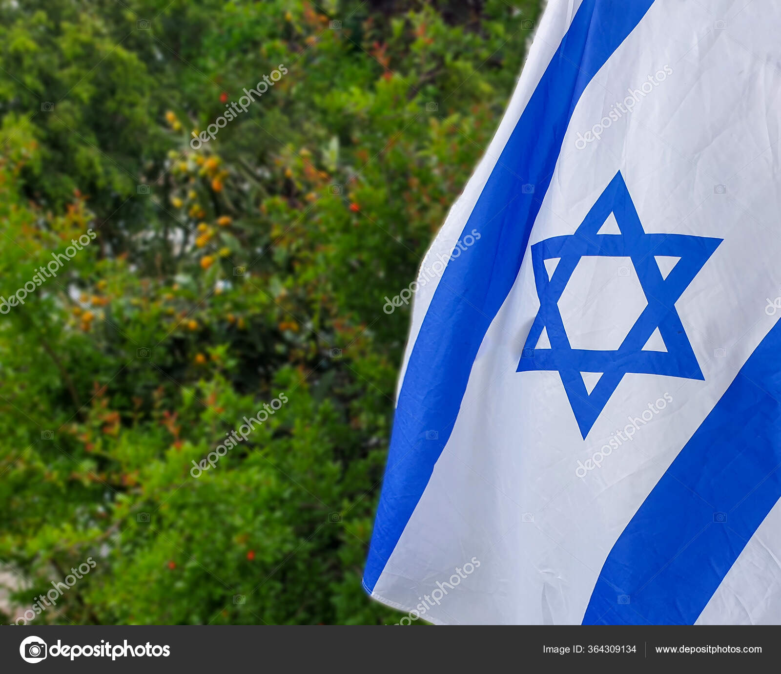 Israel Flag Tree Background — Stock Photo © Sigdesign #364309134