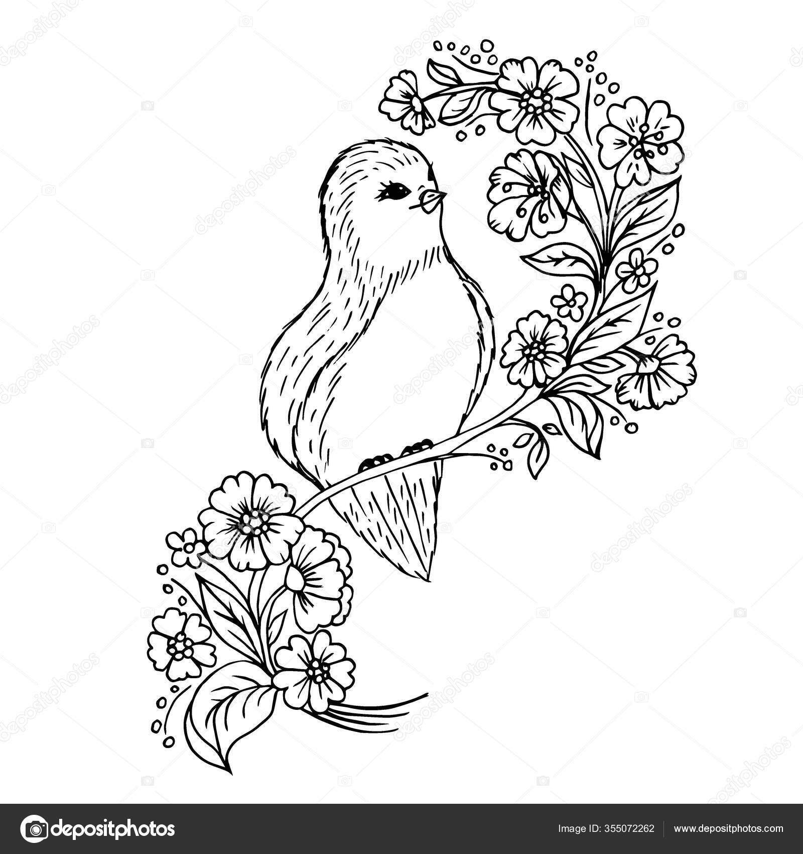 Doodle Cute Bird Branch Flowers Black Outline White Background — Stock ...