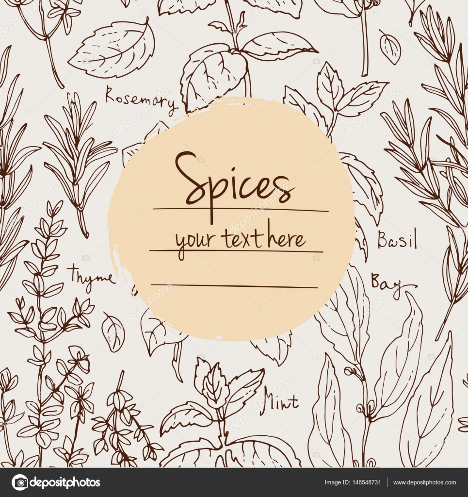 Spices card template Stock Vector Image by ©vaneevais.gmail.com #146548731