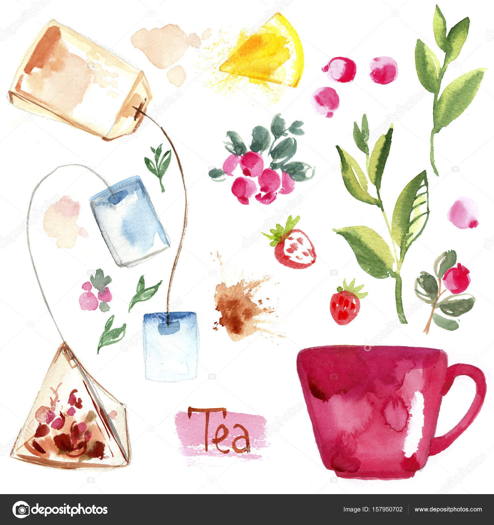 Tea Painted Watercolors White Background Figure Ink Paper Tea Cup Stock ...