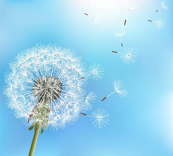 100,000 Dandelion blowing Vector Images | Depositphotos