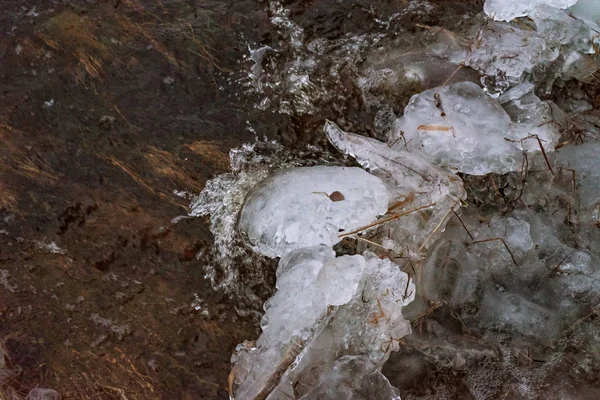 Cool nymphs ice pie pics Stock Photos, Royalty Free Cool nymphs ice pie ...