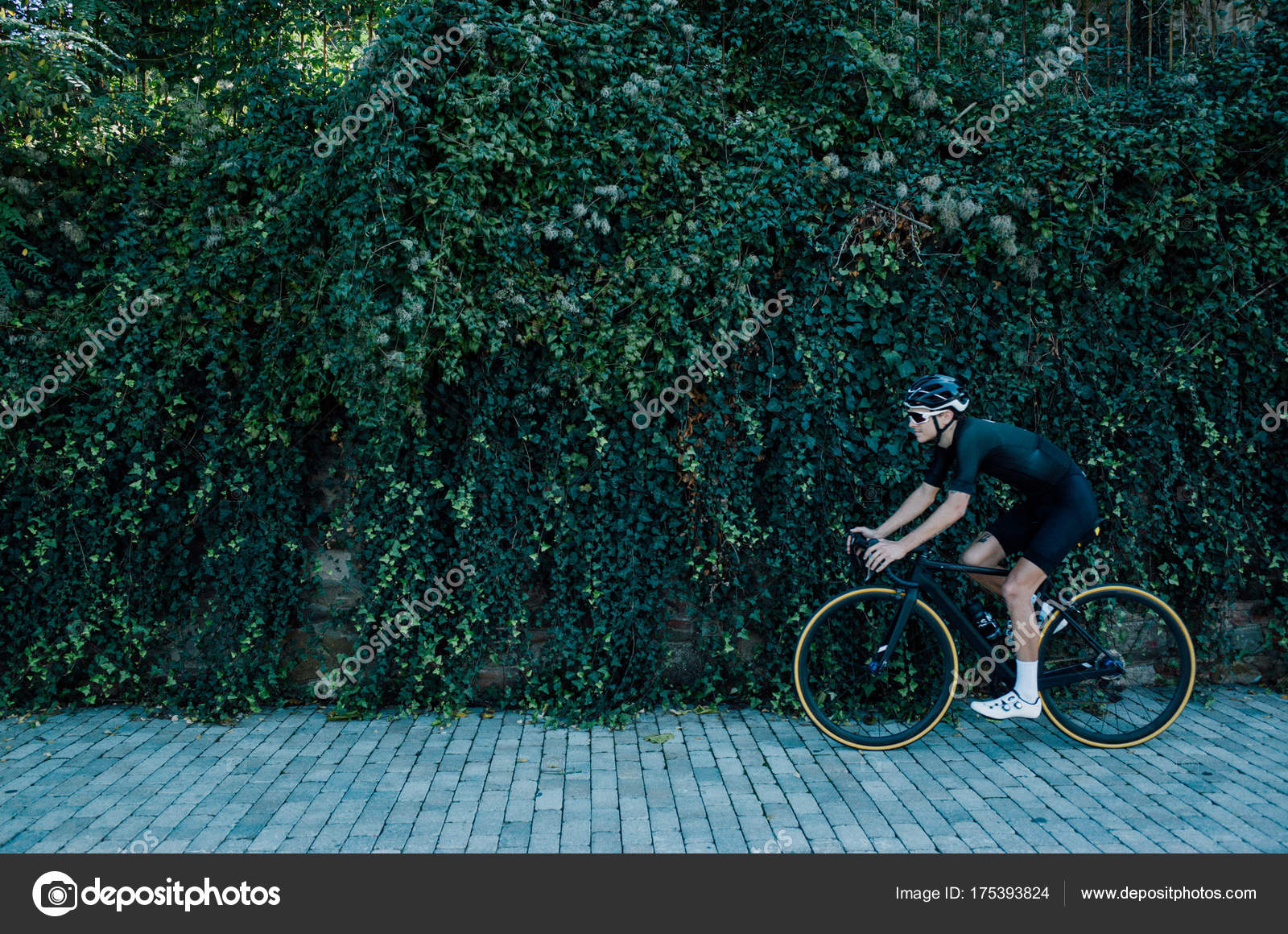 Male cyclist in front of bush leaves Stock Photo by ©steff.gutovska ...
