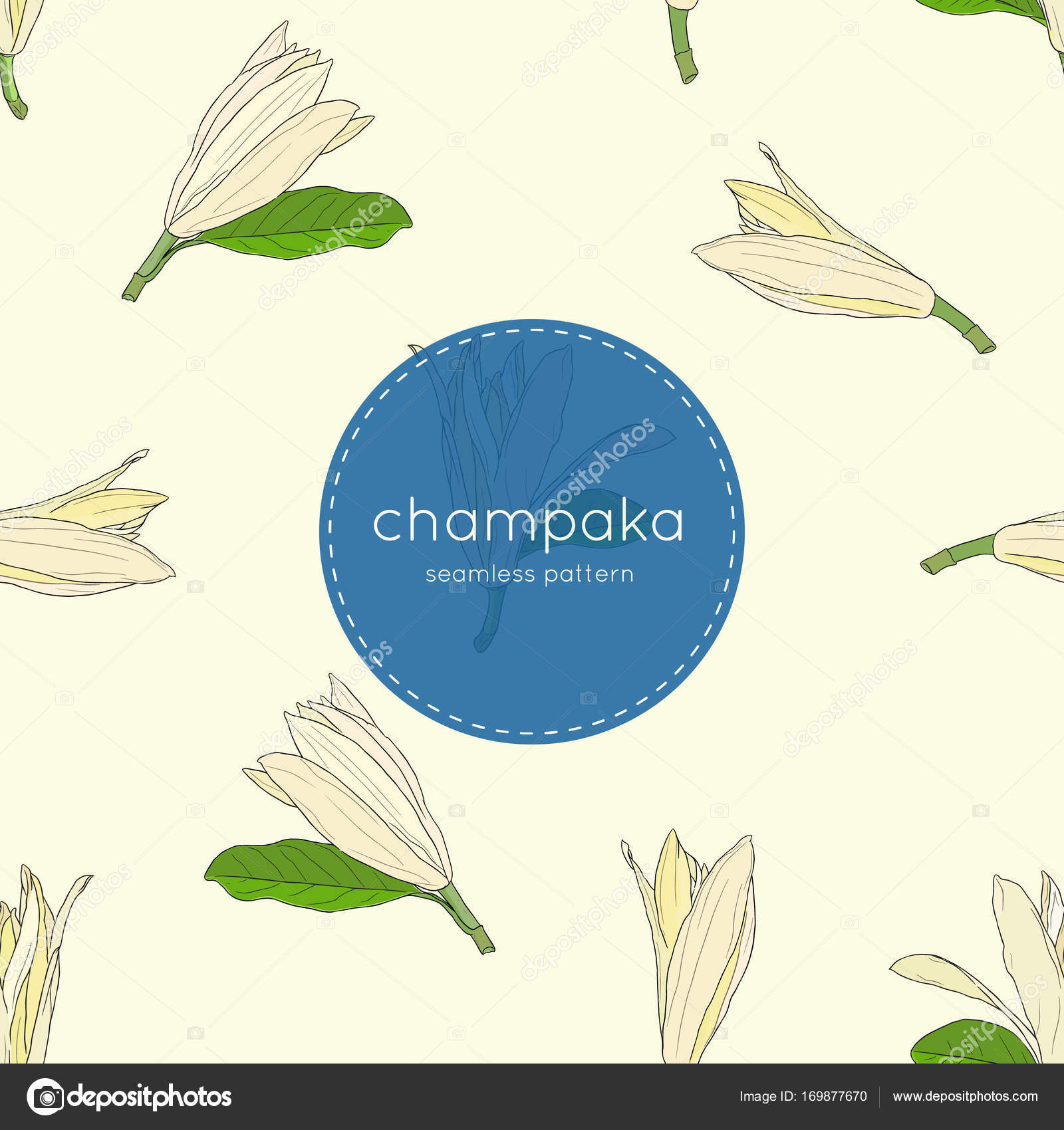 White Champaka seamless pattern vector Stock Vector Image by ©kirpmun ...