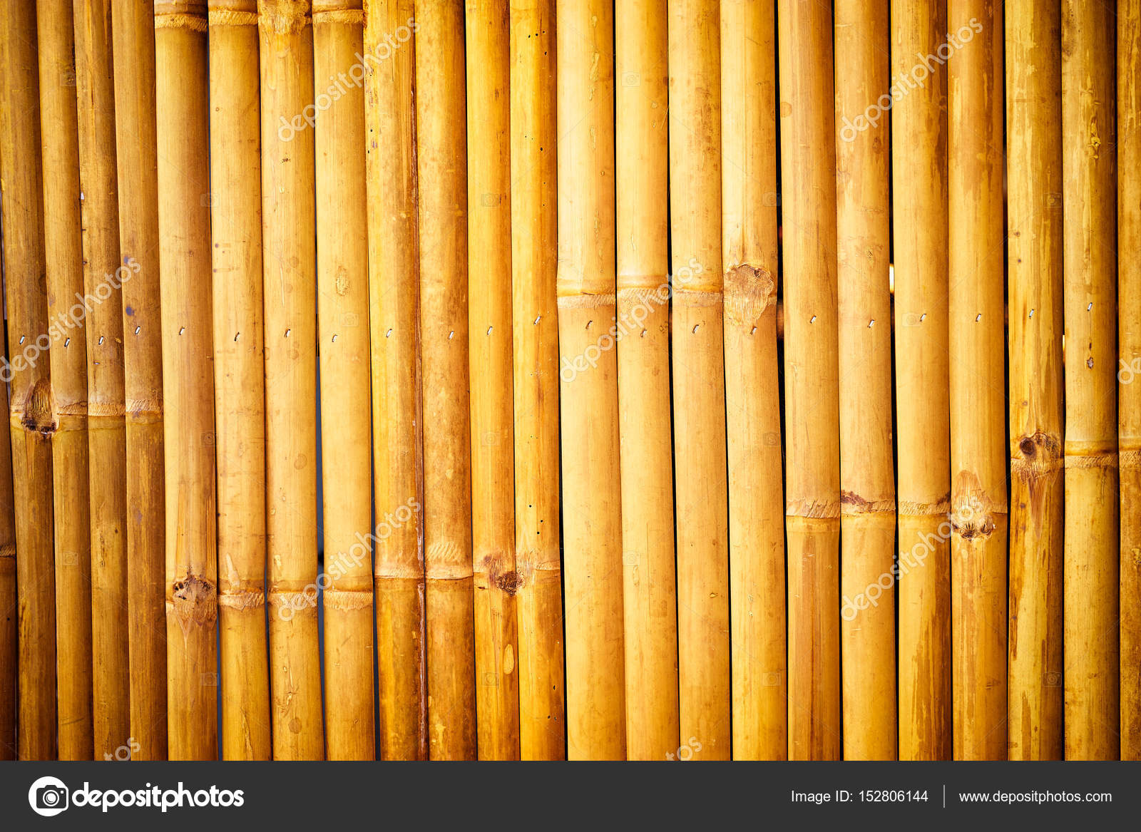 Yellow bamboo wall — Stock Photo © luengo_ua #152806144