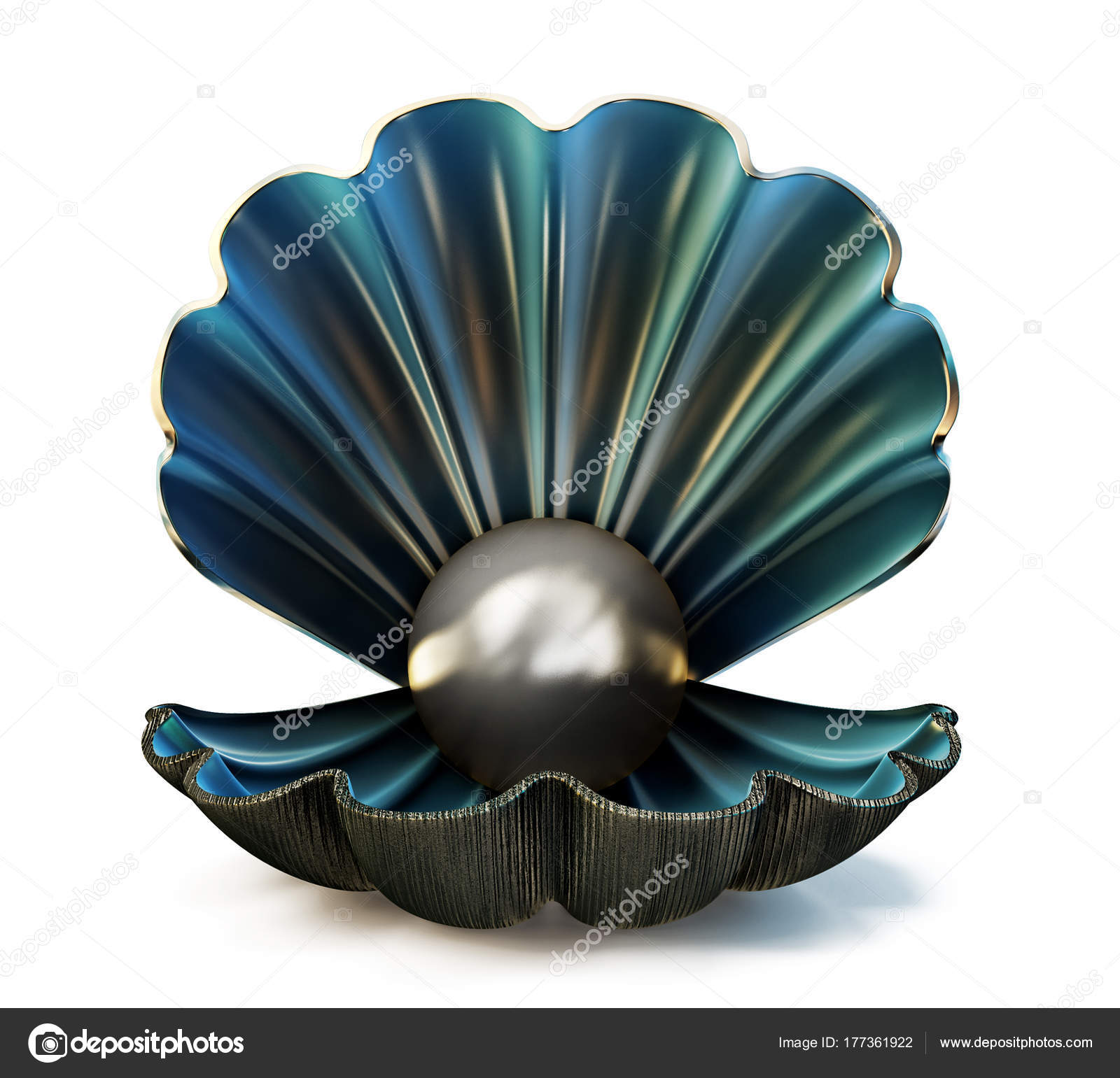 Black Pearl Shell