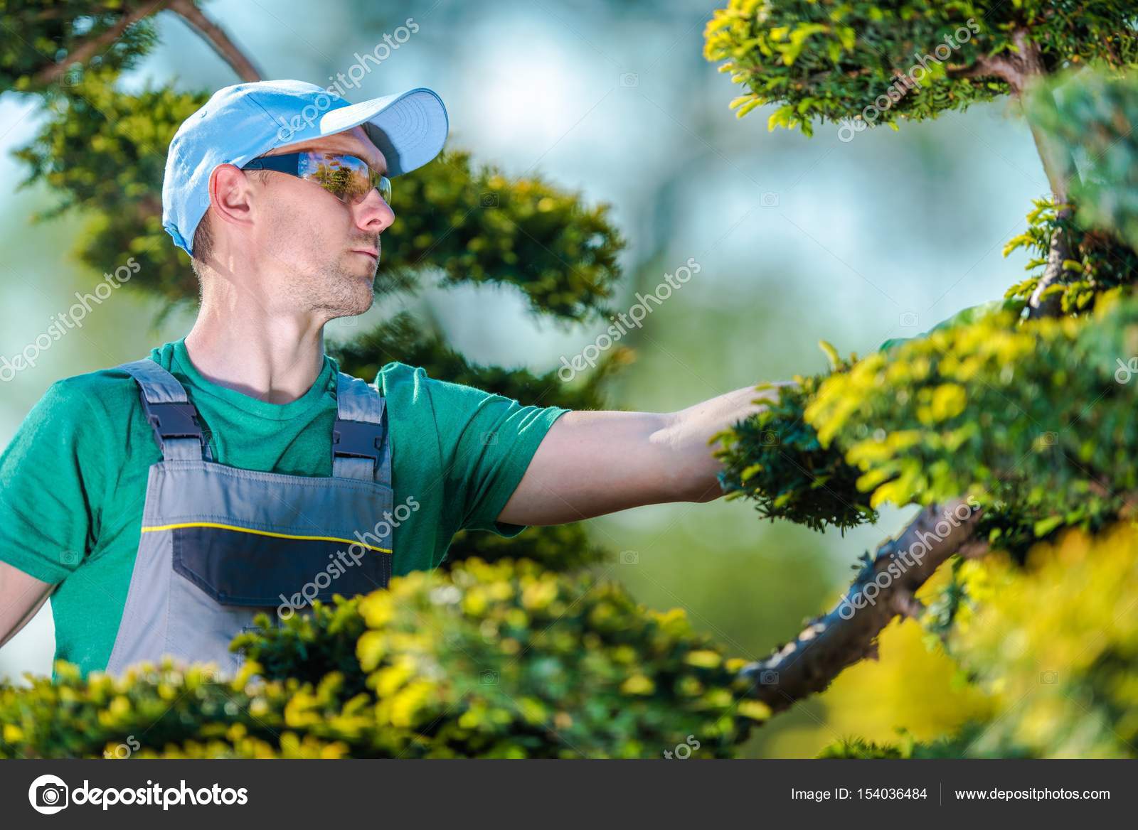 Pro Gardener at Work — Stock Photo © welcomia #154036484