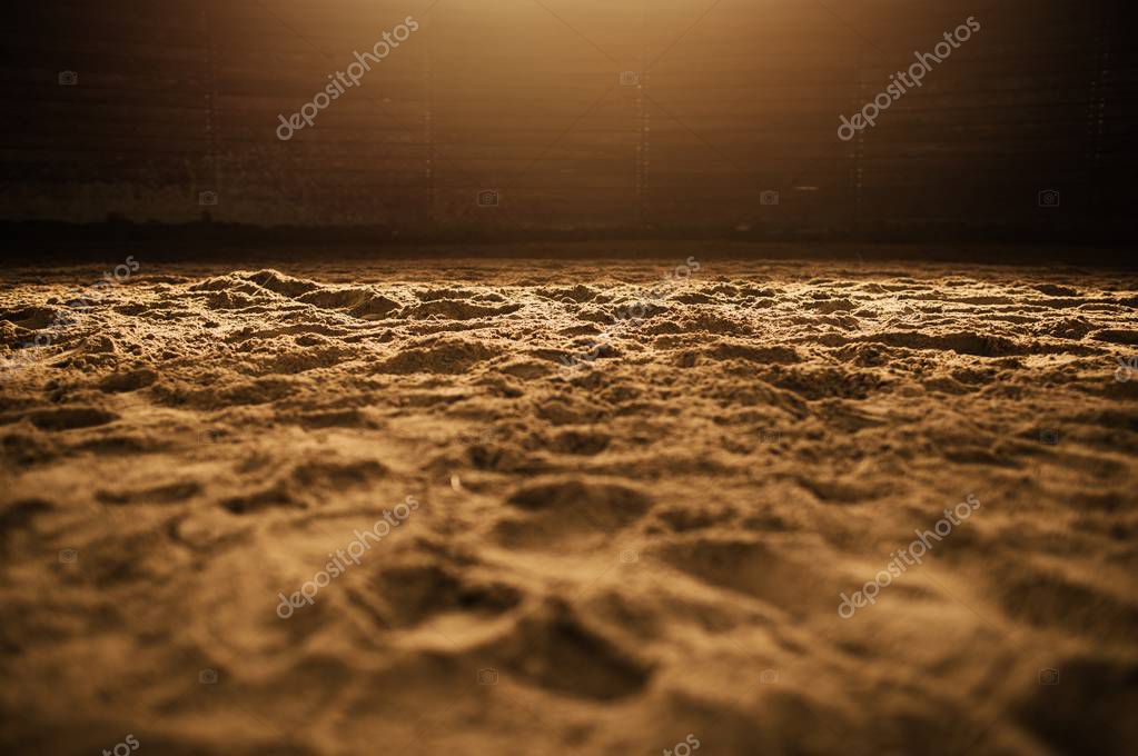 Arena de rodeo arena 2025