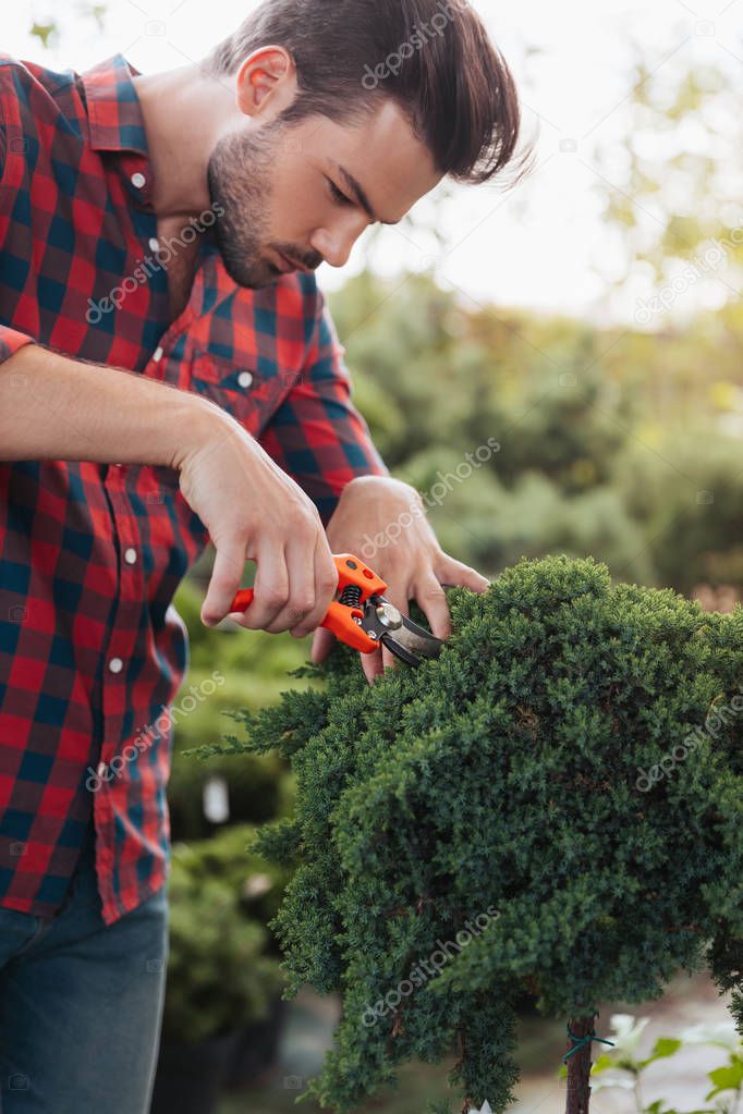 jardinero con tijeras de podar planta de corte 2025