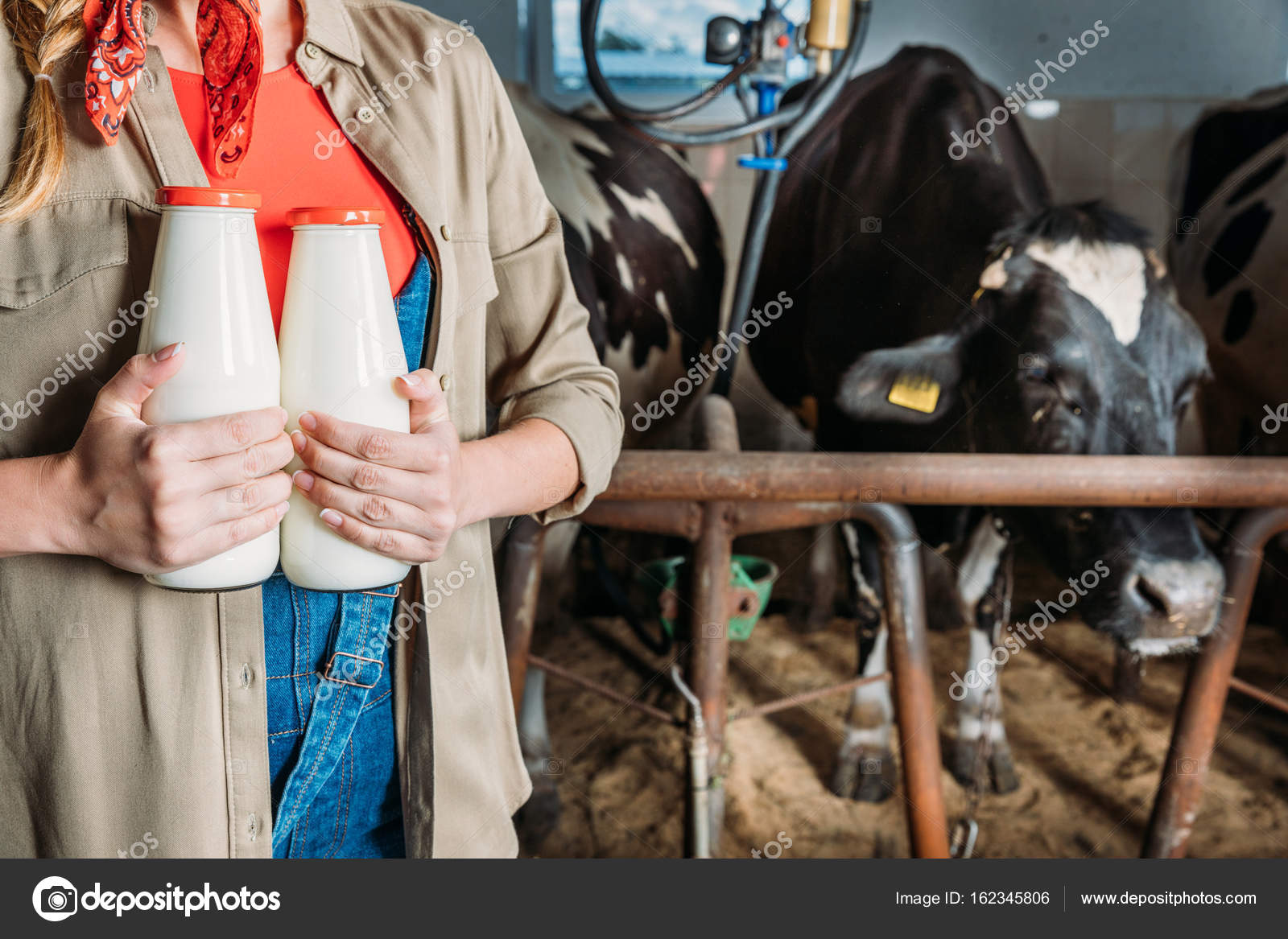 Farmer with fresh milk in stall Stock Photo by ©SashaKhalabuzar 162345806