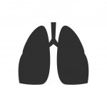 Lungs line icon. Human internal organ outline style pictogram on white ...