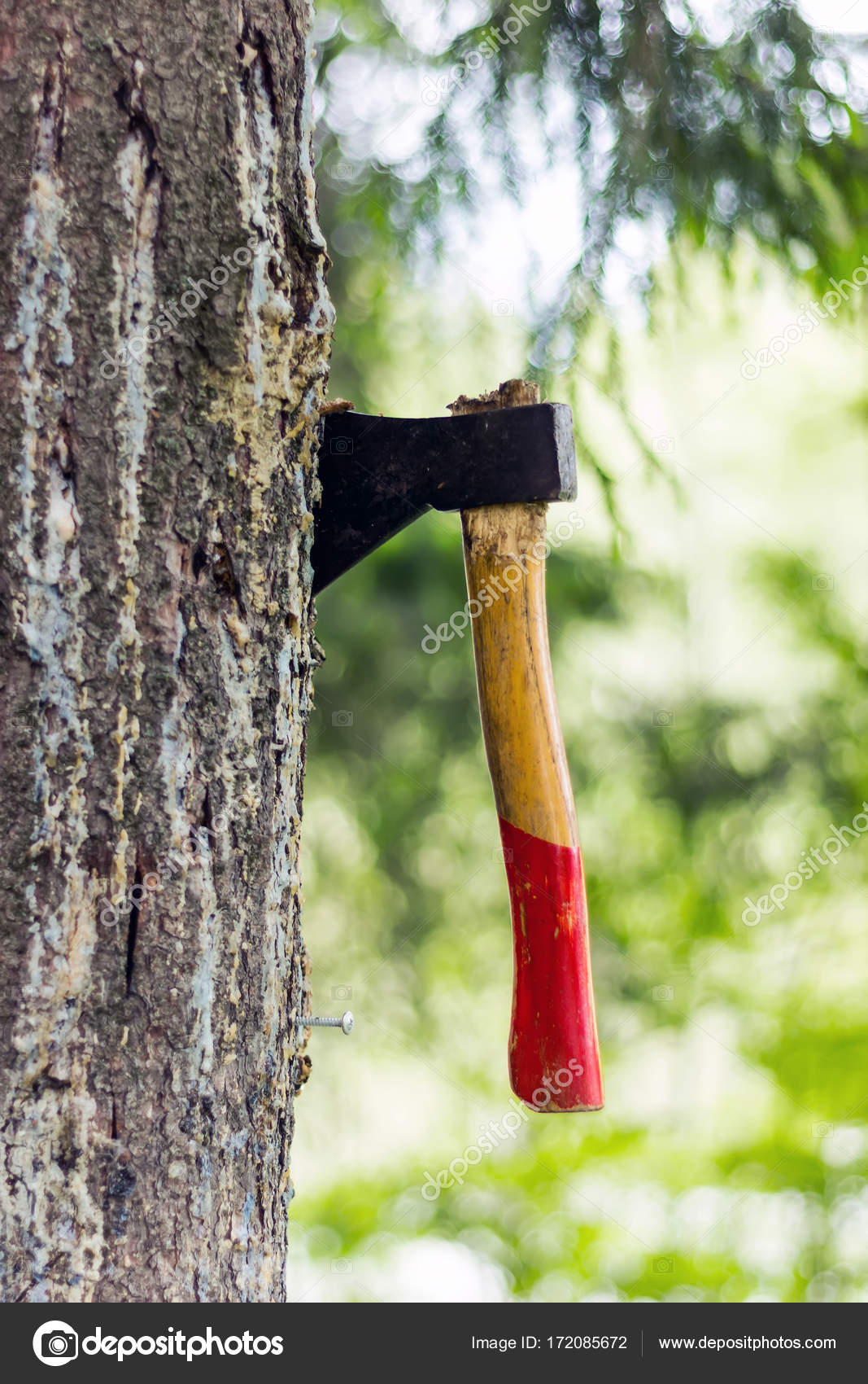 An ax is stuck in a tree in the forest Stock Photo by ©Fakt.exe 172085672