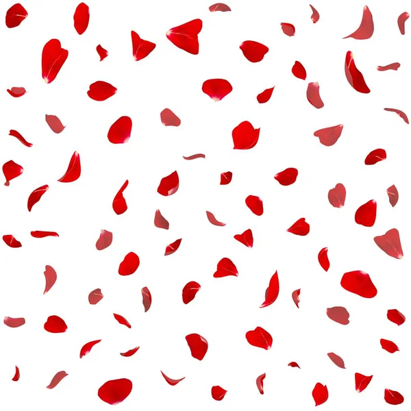 Red rose texture | Seamless texture of red rose petals — Stock Photo ...