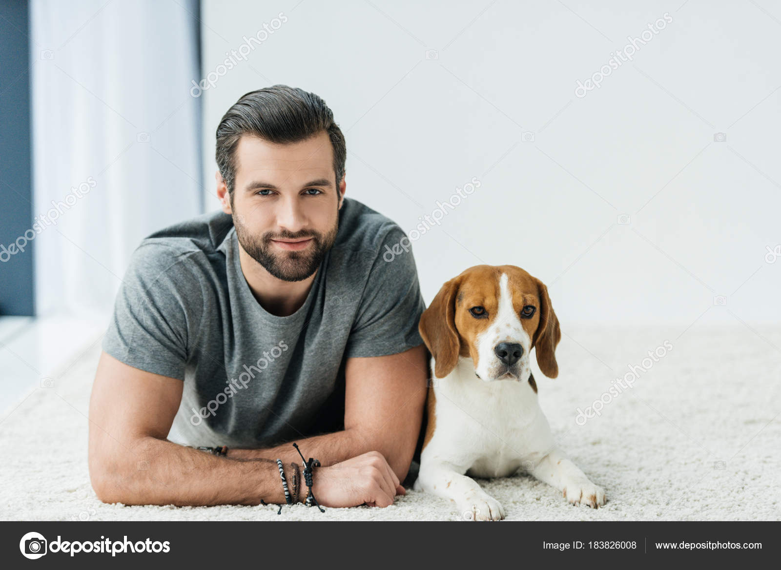 Handsome Man Lying Cute Beagle Carpet Looking Camera — Stock Photo © Y ...