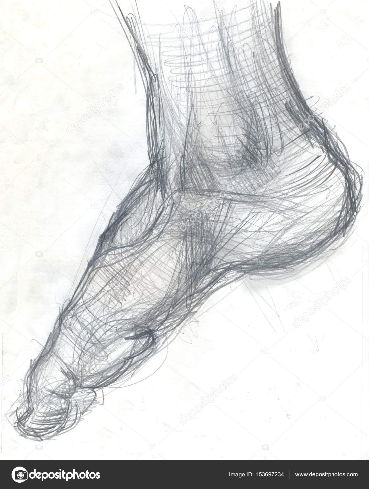 Human Foot Sketch