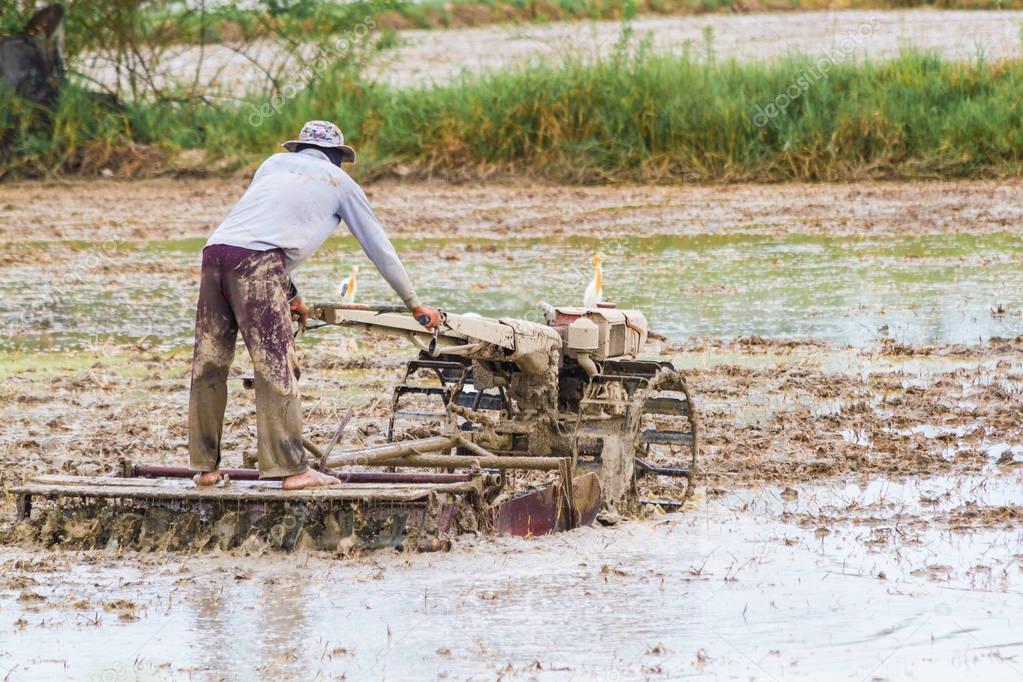 El agricultor es arado con un tractor en su granja y las aves ar 2024