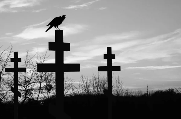 Raven and graveyard Stock Photos, Royalty Free Raven and graveyard Images | Depositphotos