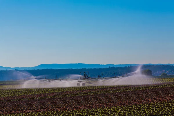 California irrigation Stock Photos, Royalty Free California irrigation ...