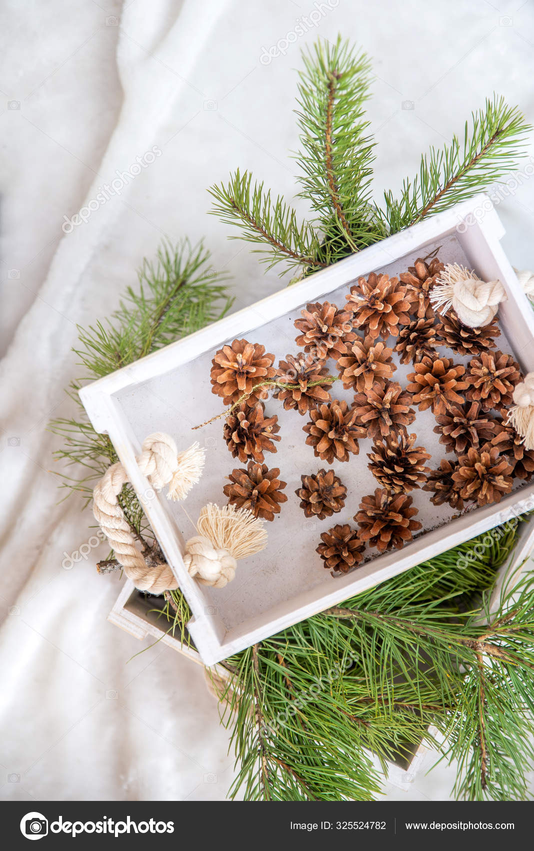 Wooden box with pine branches and cones — Stock Photo © sonchacha@mail ...