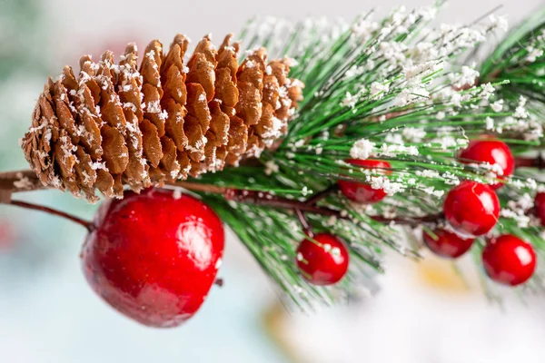 Christmas tree twig with cone macro - Stock Image - Everypixel