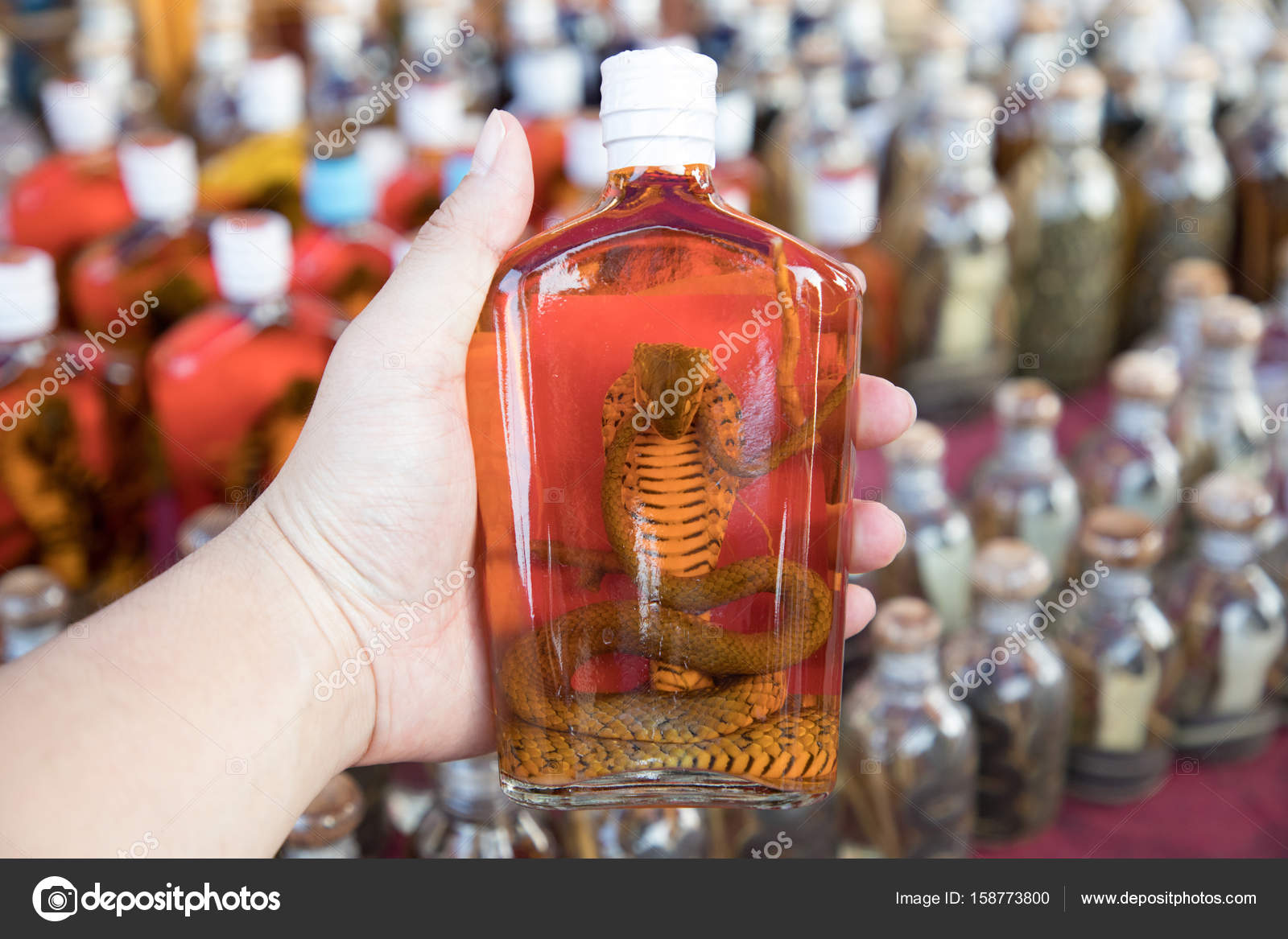 Cobra In Bottle Alcohol