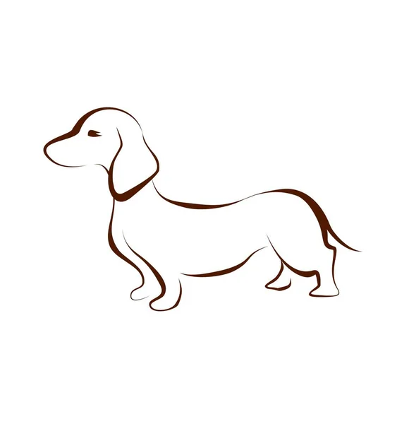 Grafika wektorowa Rysunek jamnik, Rysunek jamnik obrazy wektorowe ...