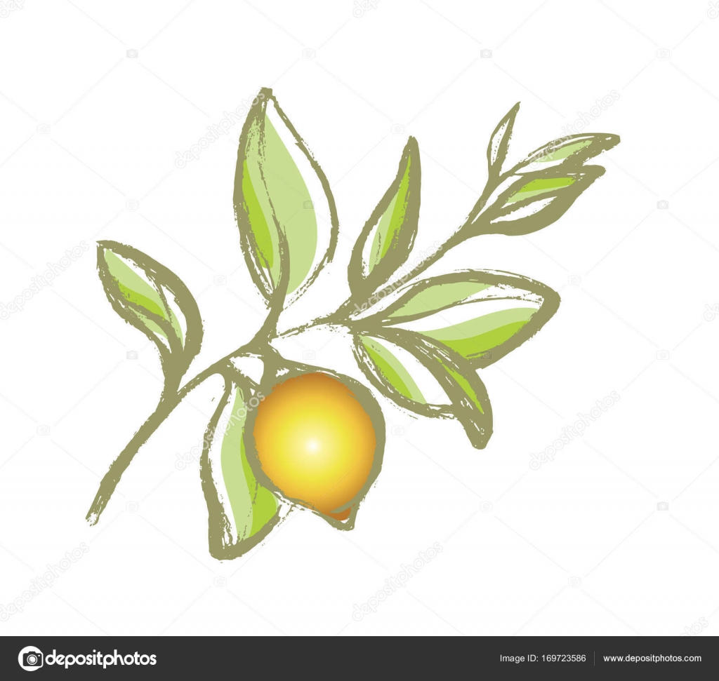Disegni Albero Di Limoni - Disegni HD