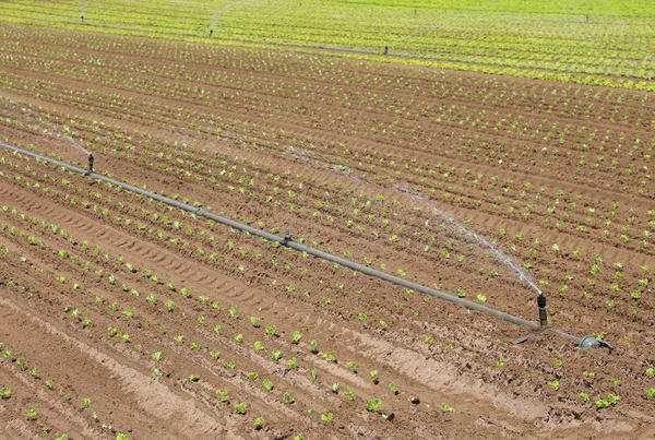 Central pivot point irrigation system Stock Photos, Royalty Free ...