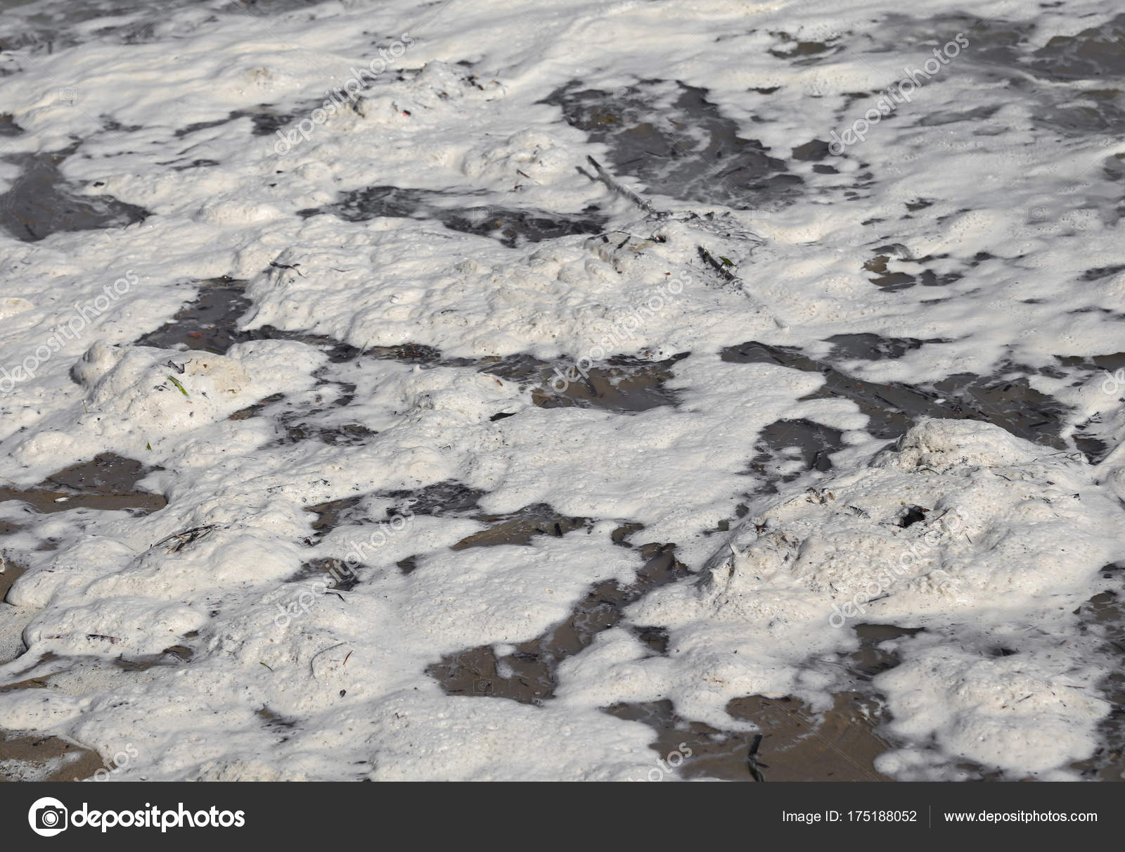 Foam polluted in sea water due to the polluting materials in det ...