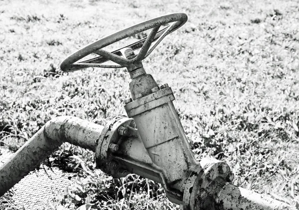 Underground hydrant Stock Photos, Royalty Free Underground hydrant ...