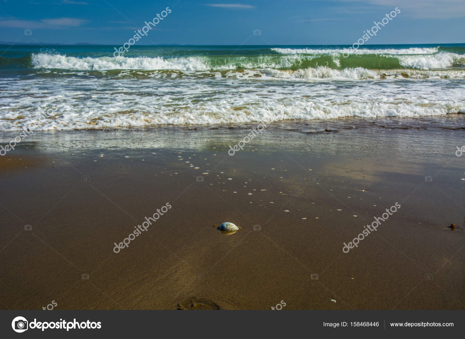 Beautiful beach, on the sand roll frothy waves — Stock Photo © juliza03 ...