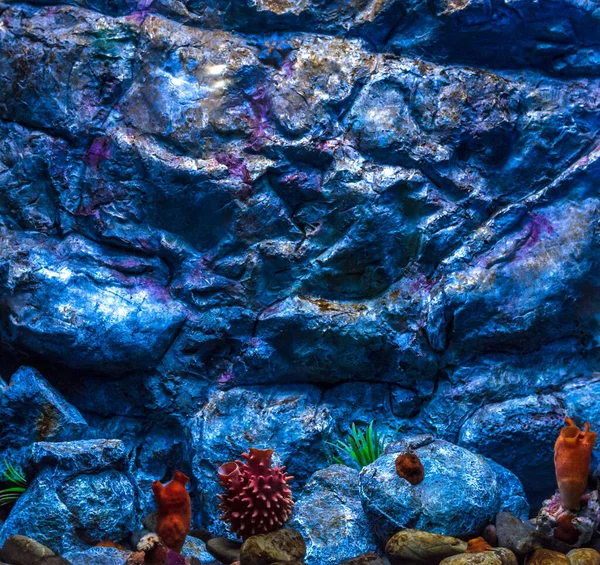 Floating rock aquarium Stock Photos, Royalty Free Floating rock ...