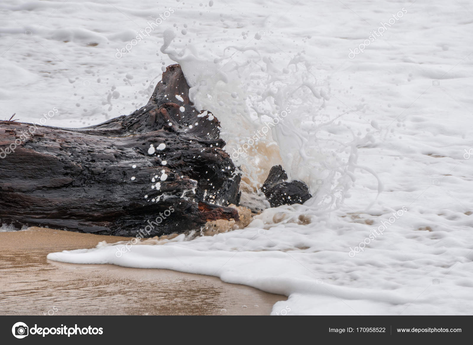 Ocean wave crash over a large driftwood log splashing water up above ...